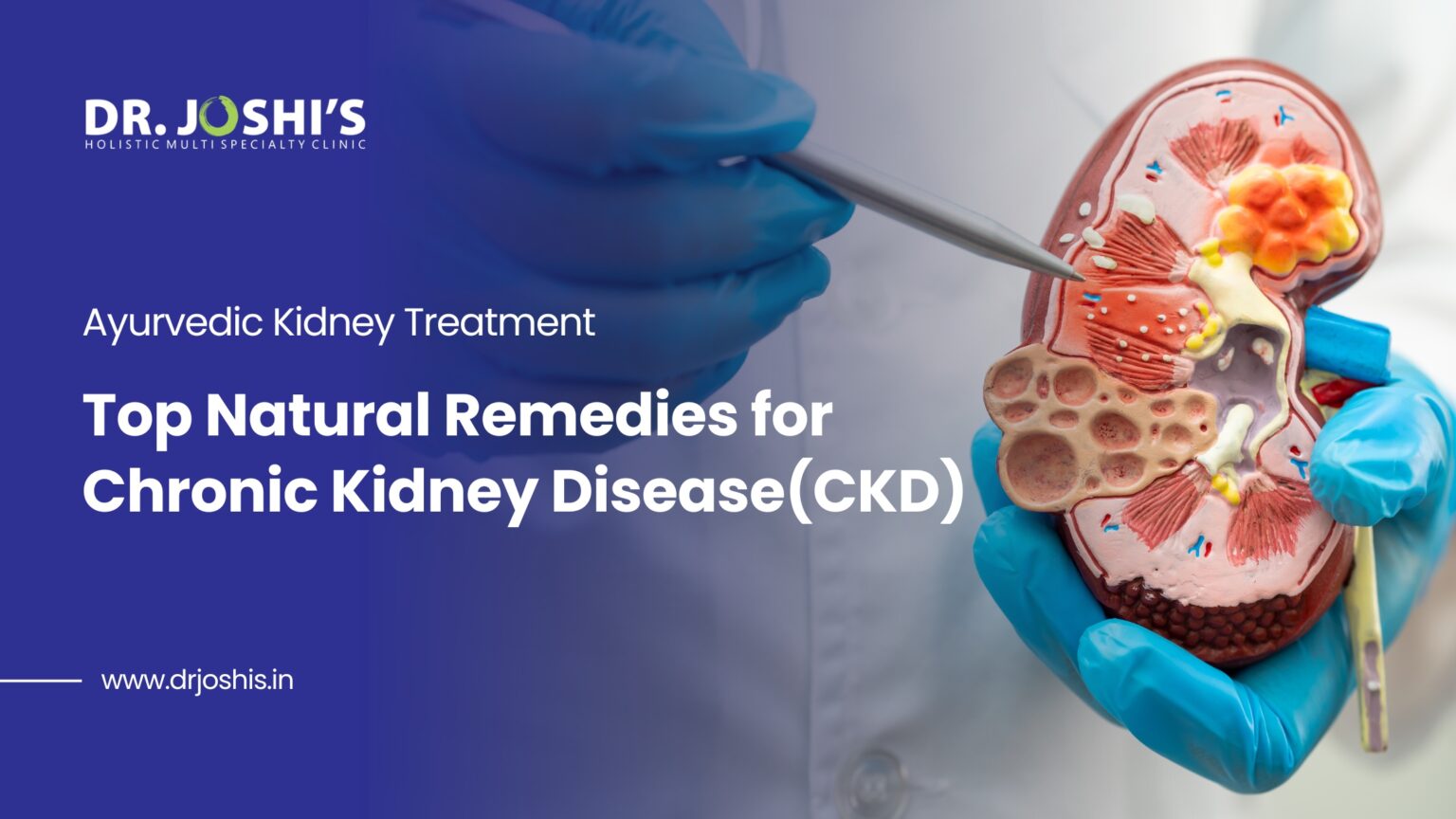 Top Natural Remedies for Chronic Kidney Disease(CKD): Ayurvedic Kidney ...